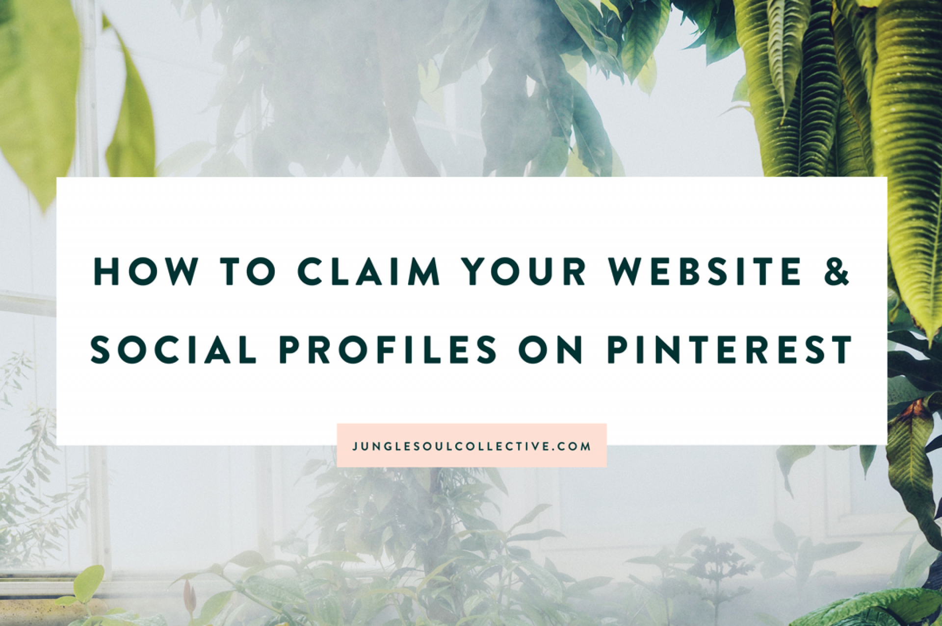 How to Claim Your Website and Social Profiles on Pinterest – Jungle ...